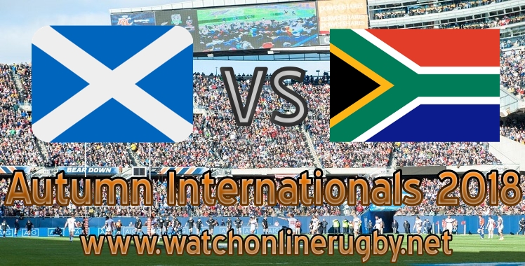 RWC 2023 South Africa Vs Scotland Live Stream | 10 September 2023